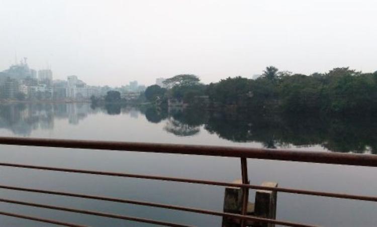 Banani Area Guide: Discover Insights & Price Trends | PropertyGuide